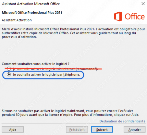 Activation de Microsoft Office 2021 Professional Plus commandé sur ...
