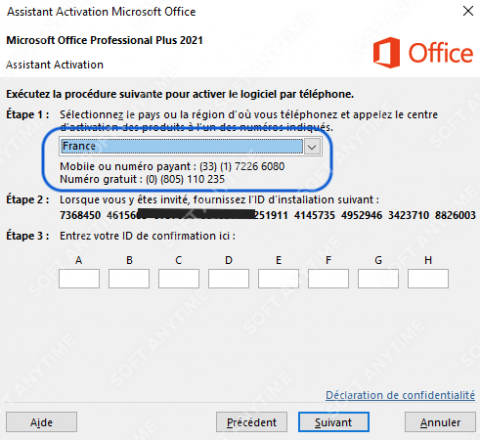 Activation de Microsoft Office 2021 Professional Plus commandé sur ...